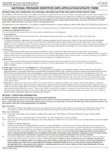 CMS 10114 – NATIONAL PROVIDER IDENTIFIER (NPI) APPLICATION/UPDATE FORM ...